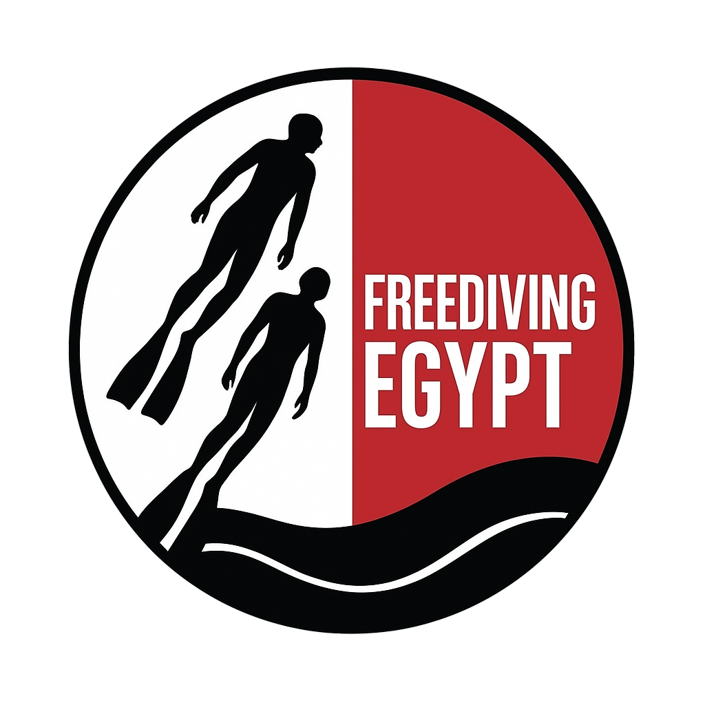 Freediving Egypt - Your Gateway to the Red Sea